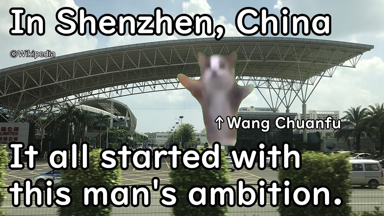 Thinking about the history of BYD with Cat Memes - YouTube