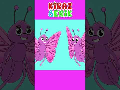 Uç Uç Kelebek Kanadın Ne Renk? 🦋 #shortvideo #shorts #kirazveerik #bebekşarkıları #çizgifilm #short