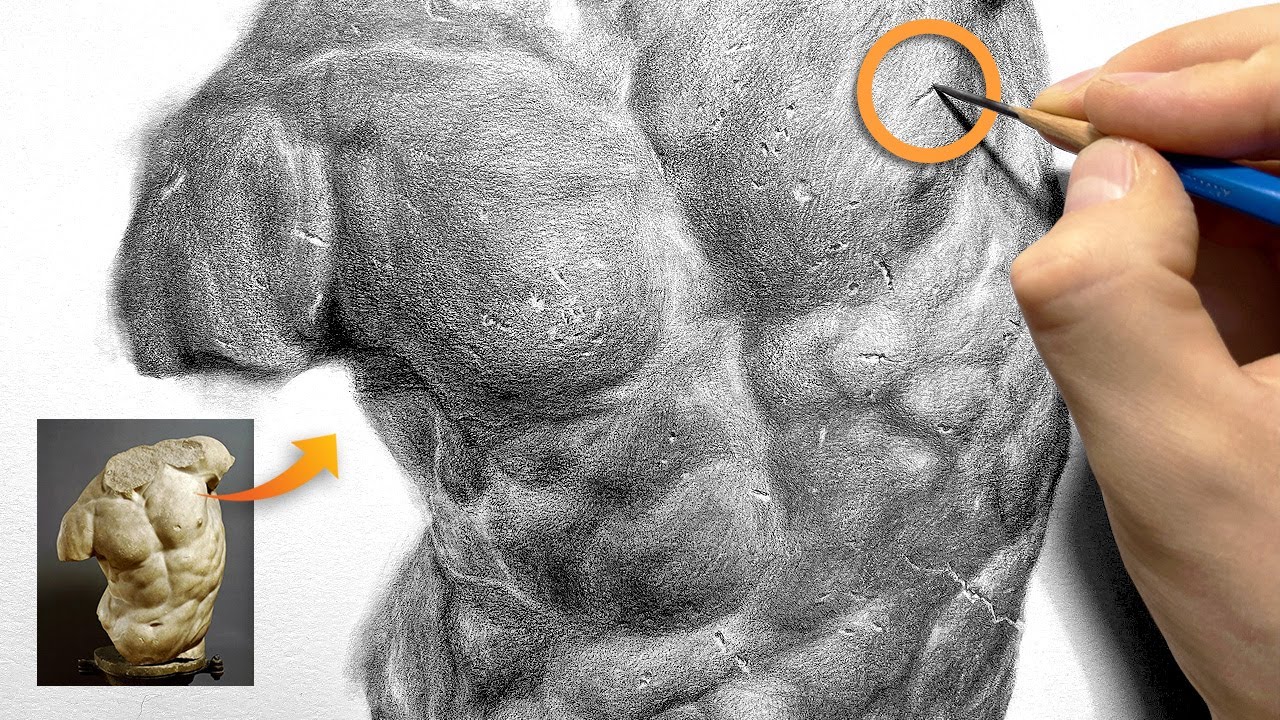 Enhance Your Drawing Skills with the Male Torso | Gaddi Torso ...