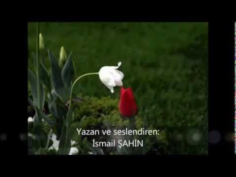 AYET AYET \