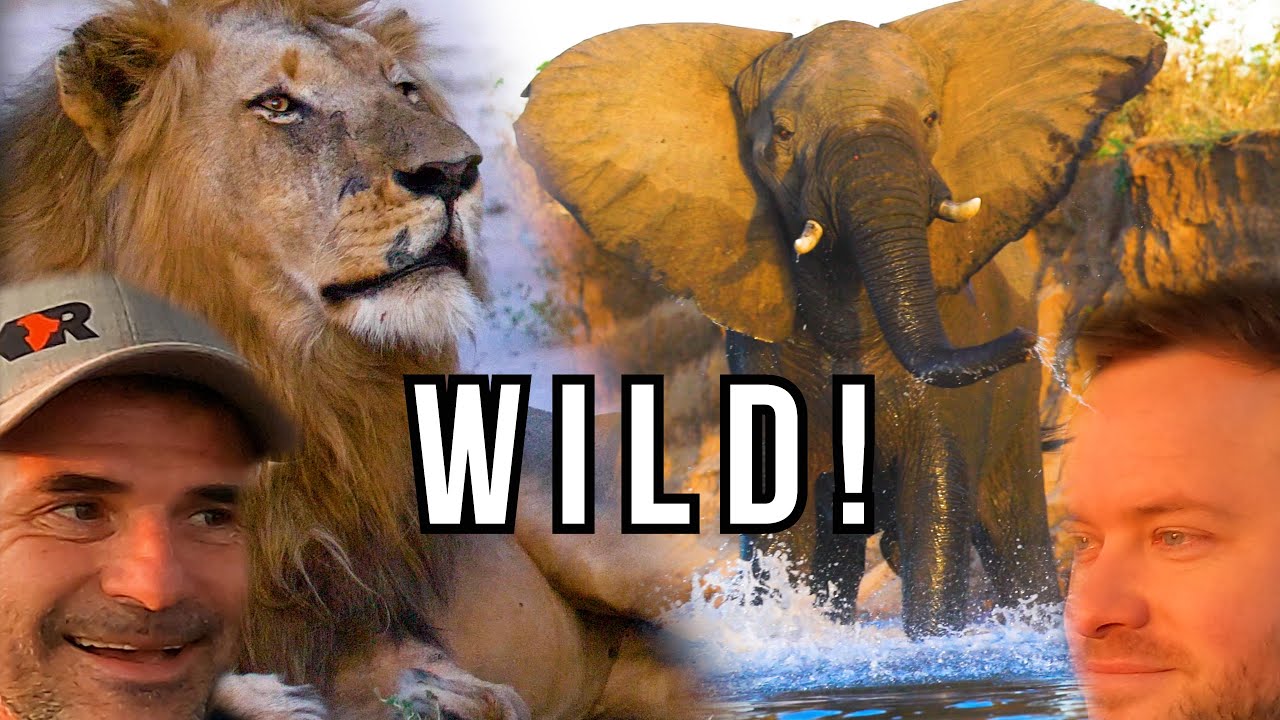 WILDLIFE Discussions With Kevin and Cameron! | The Lion Whisperer - YouTube
