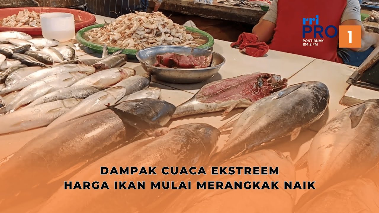Dampak Cuaca Ekstreem, Harga Ikan Mulai Merangkak Naik - YouTube