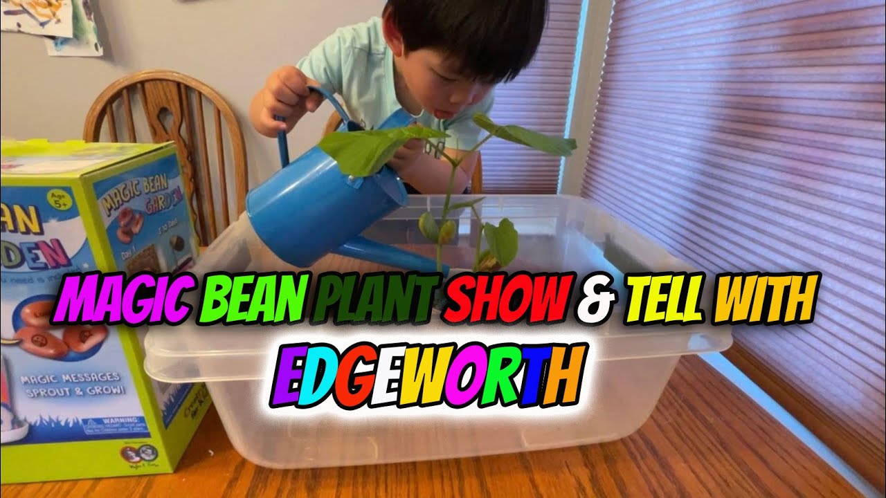 MAGIC BEAN PLANT SHOW & TELL WITH EDGEWORTH - YouTube