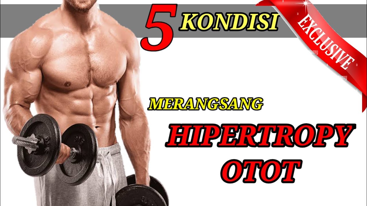 membuat otot tubuh tambah kuat atau hipertropi. ada lima kondisi ...
