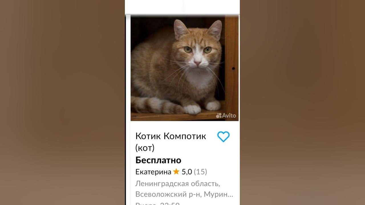 смешные объявления в авито #мем #рекомендации - YouTube