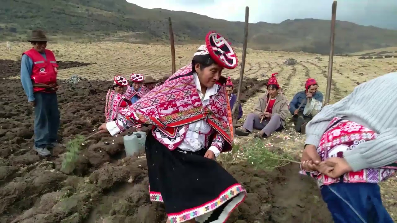 Papa yapuy con chaki taklla - YouTube