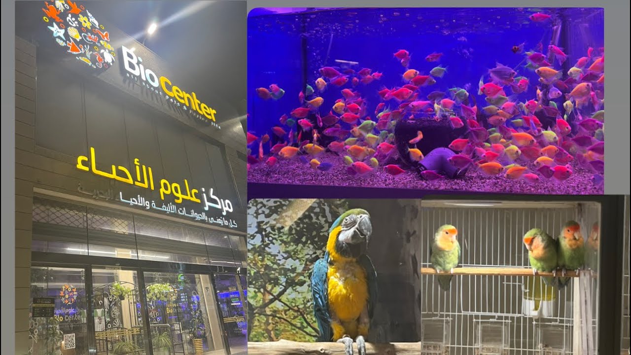 Bio Center || Dammam || very beautiful || Nice || Rinuna’s World - YouTube