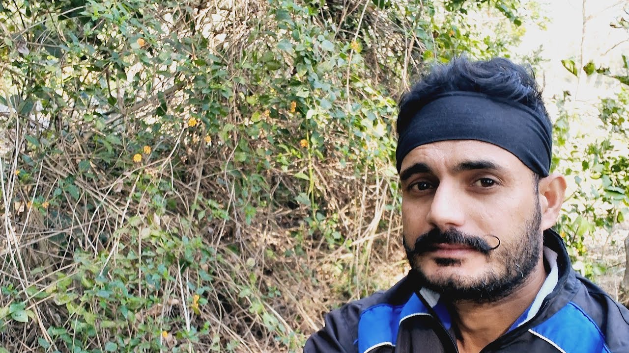 Sar kata bhoot and four other - YouTube