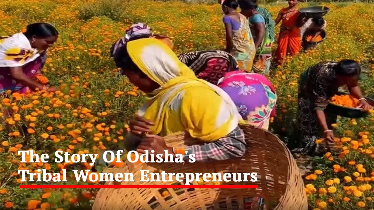 How These Tribal Women Turned Into Entrepreneurs In Odisha - YouTube