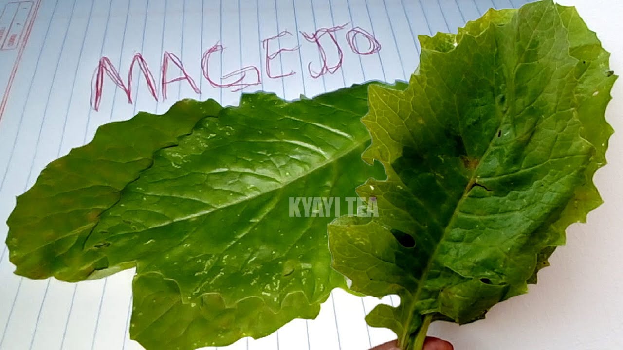 Kozesa Magejjo Omusino Gugejje na Mattama Gemana Bigenda Kugejja ...