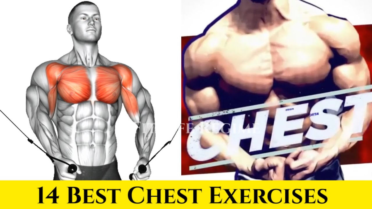 14 Best Chest Exercises and Workouts You Need to Build Bigger Pecs ...