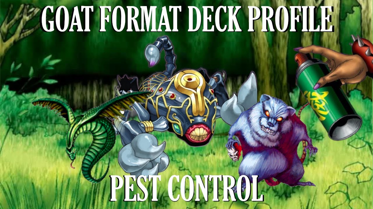 Yu-Gi-Oh! Goat Format "Pest Control" Deck Profile (Insects!) - YouTube