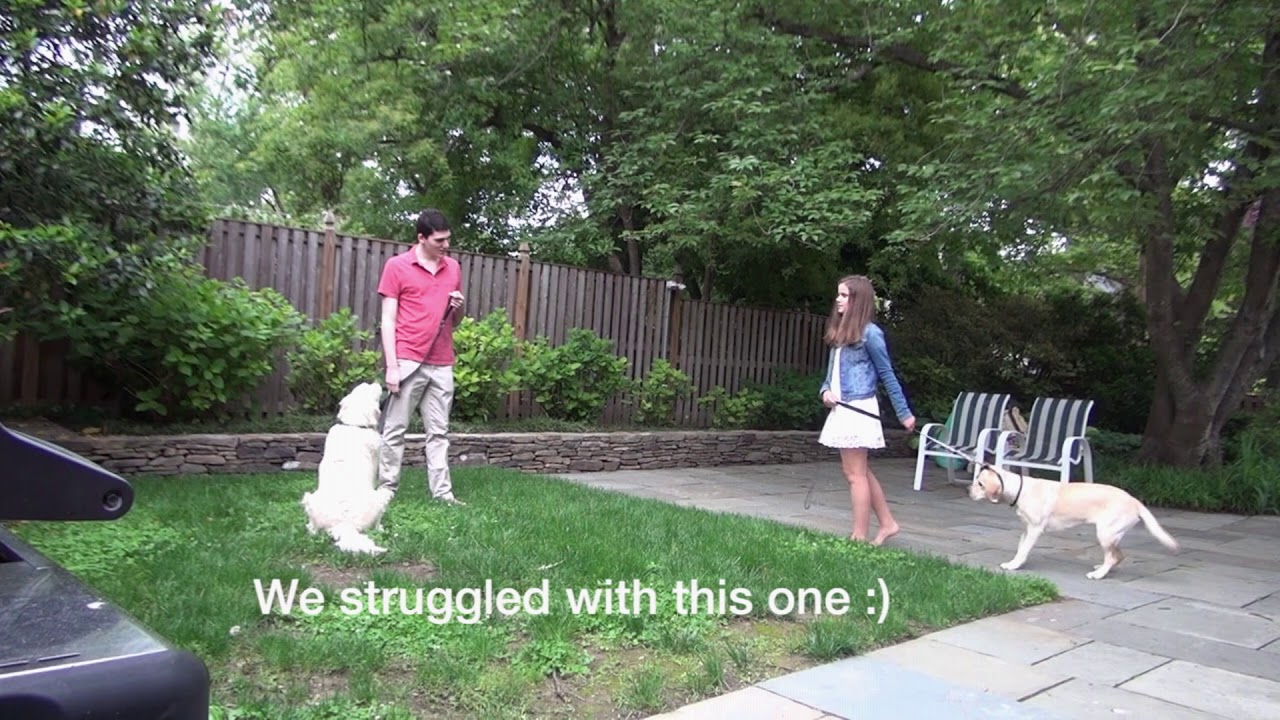 Daisy Training Video - YouTube