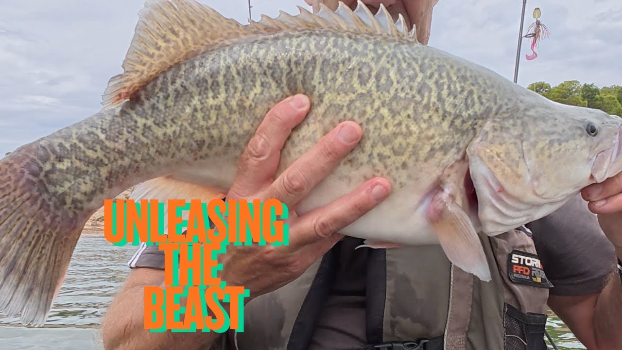 Green and Gold Fishing Success - YouTube