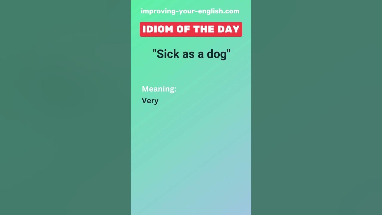 Sick As A Dog Idiom Of The Day YouTube sick-as-a-dog-idiom-of-the-day-youtube