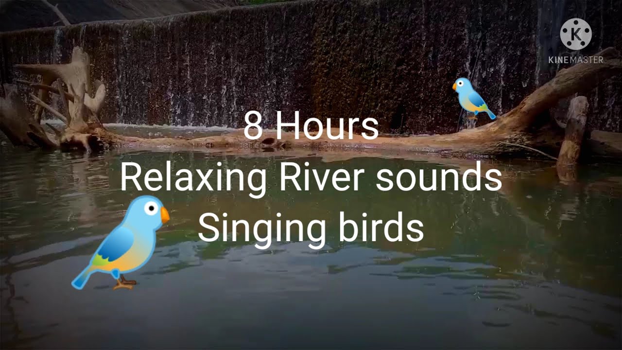 8Hours Relaxing River sounds singing birds - YouTube