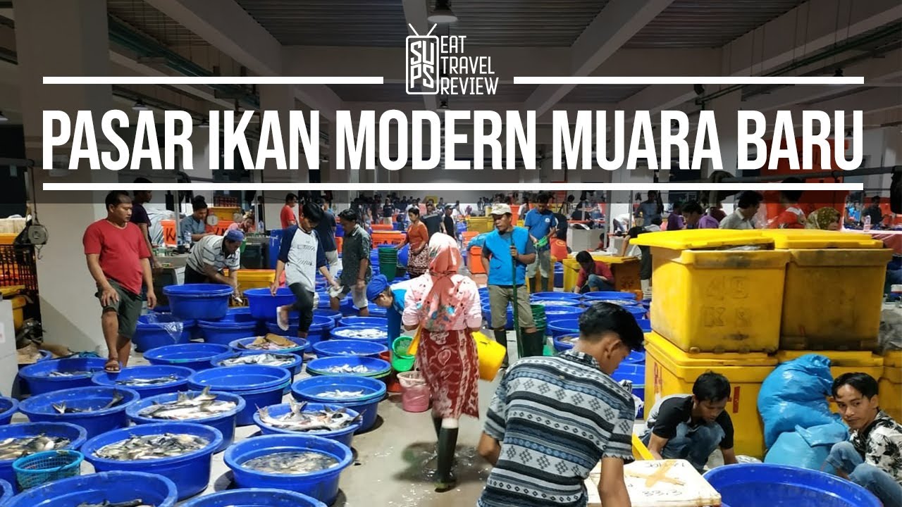 PASAR IKAN MODERN MUARA BARU !!!! - YouTube