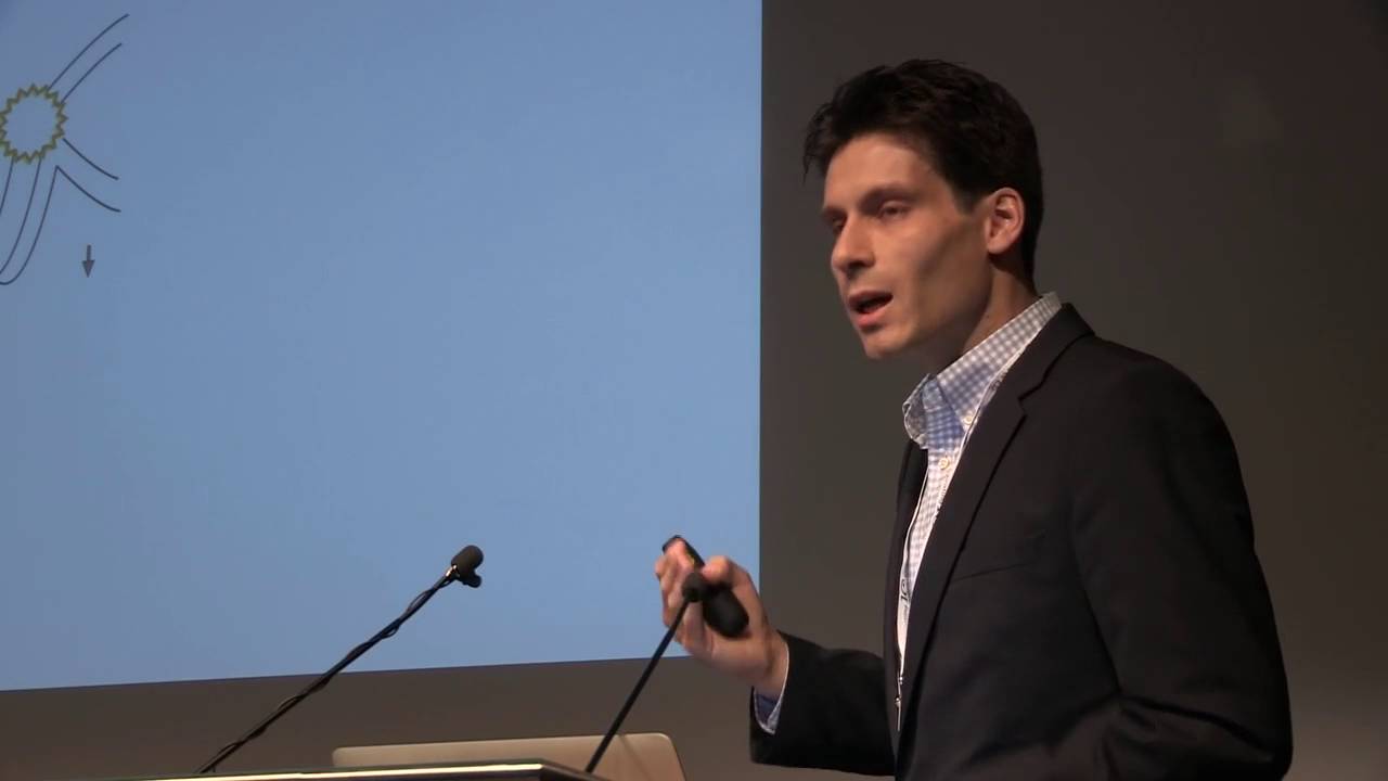 Symposium 11, Thyroid function and aging: what can we learn from animal ...