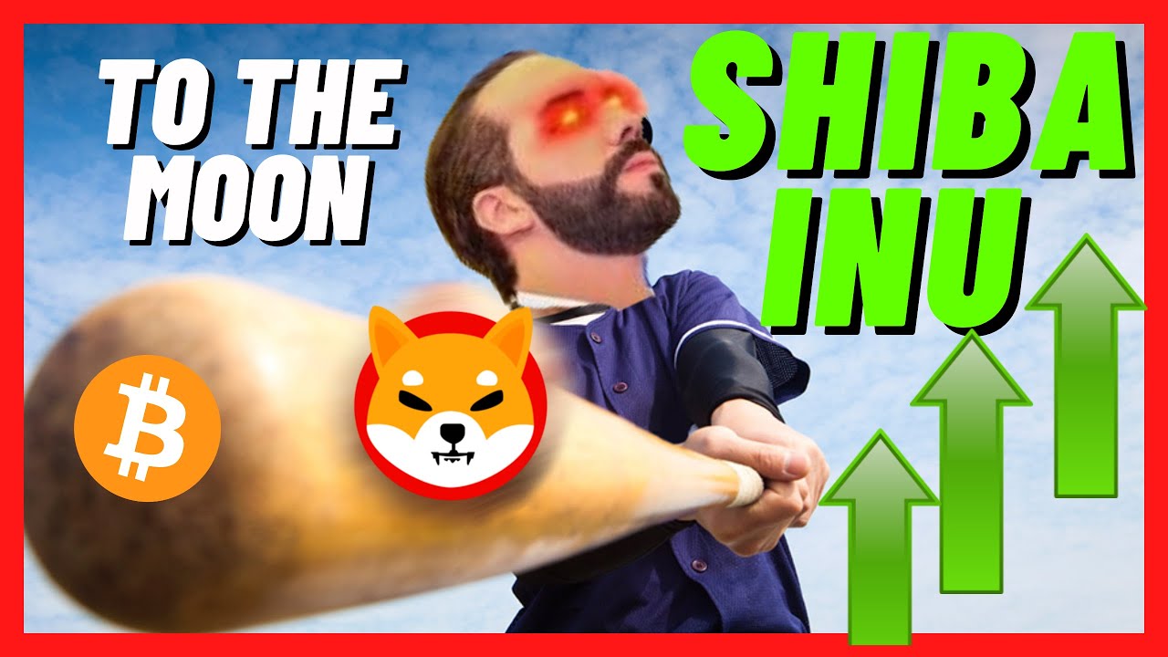 SHIBA INU COIN 😲| BTC A 100K 🔥 | SHIB TO THE MOON🌑 Criptomoneda ...