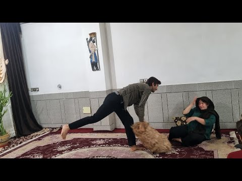 Lifestyle in Iranian: dolmeh, big anger, perfect comeback—Leila stepped up!\