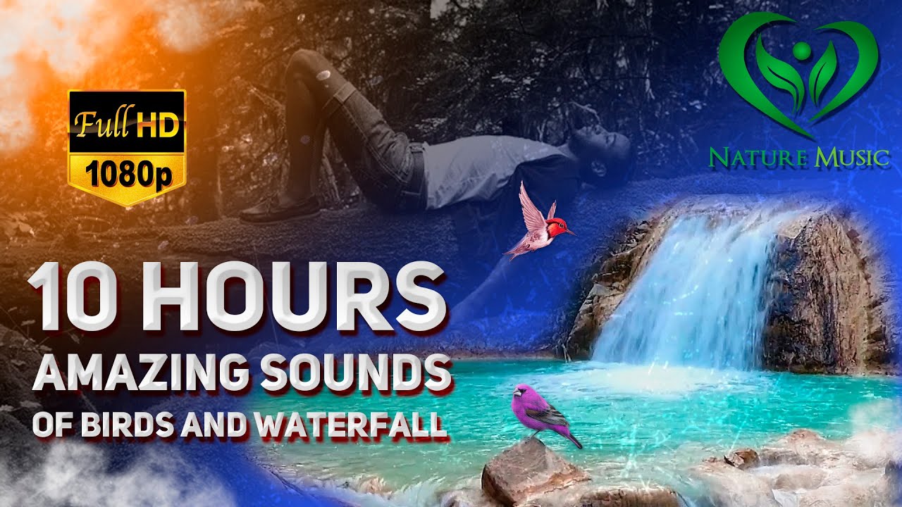 Amazing Sounds of Birds by the River Waterfall | Water Lapping Sounds ...