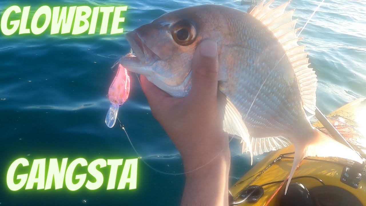 Fishing with the gangsta lure with GlowBite Orewa beach - YouTube
