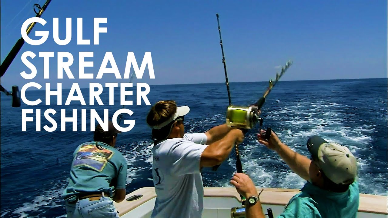 Gulf Stream Charter Fishing: Epic Adventures Off The North Carolina ...