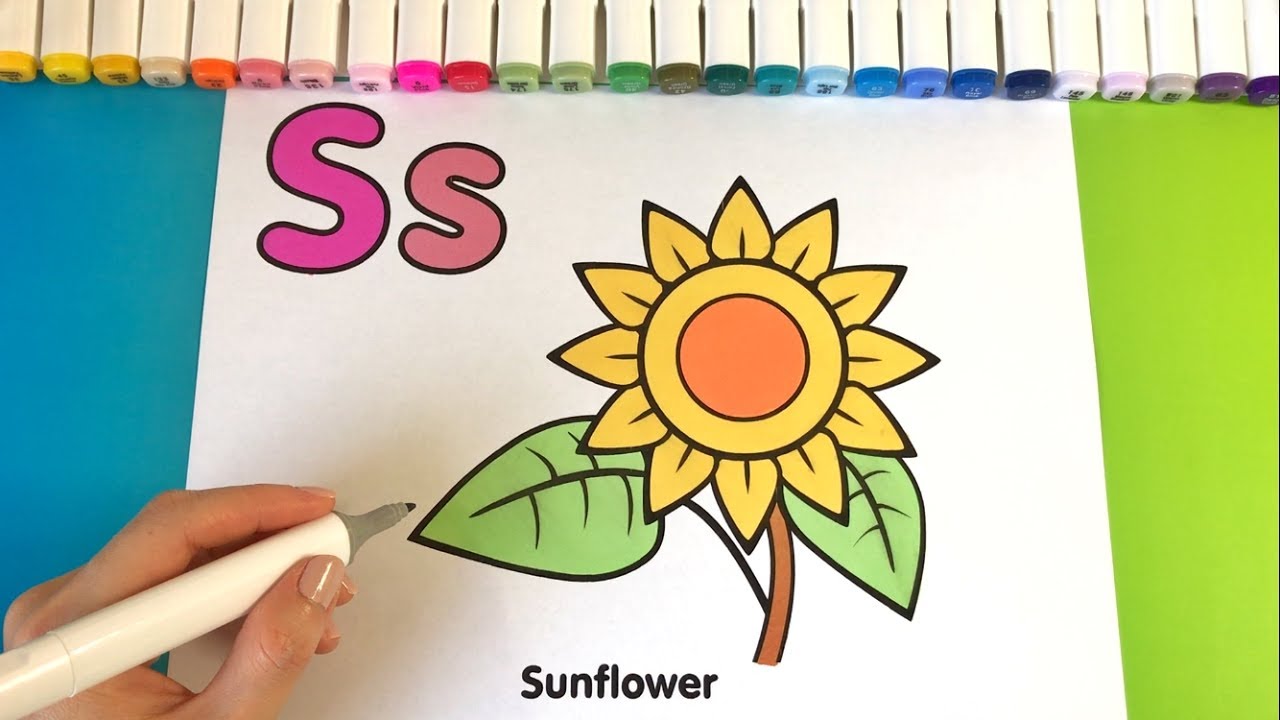 Kids Color and Learn: The Alphabet S and Sunflower - YouTube