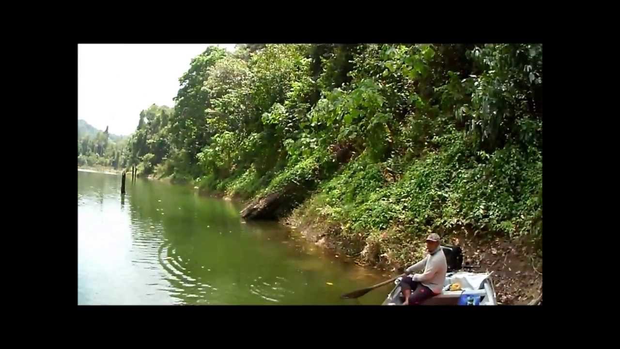 Toman Bunga, Kerandang Tasik Temenggor, Snakehead Fishing - YouTube