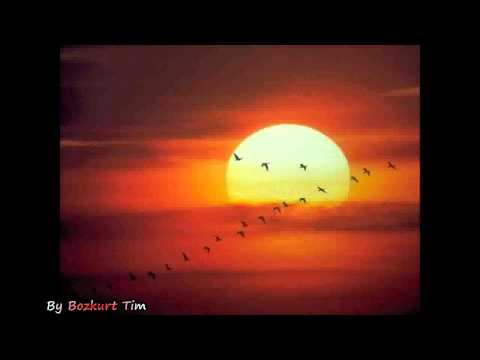 By Bozkurt Tim - Nuri Sesigüzel - Kaz Mezarci