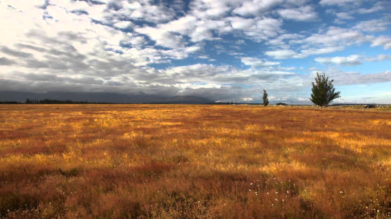 Jesse Rood Sings Would You Go With Me - YouTube