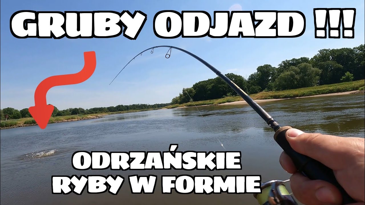RZEKA SPINNING i RYBY - YouTube