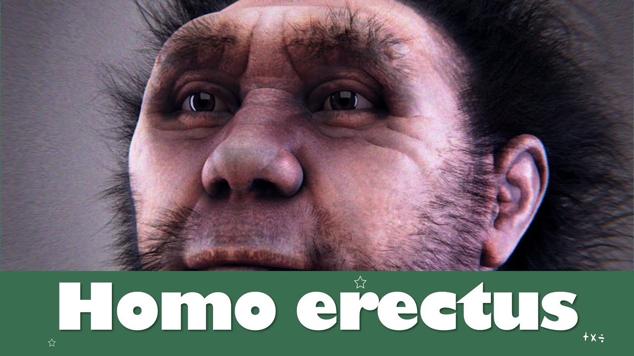 ⭐Homo erectus: el hombre descubre el fuego 📗 aulamedia Historia - YouTube
