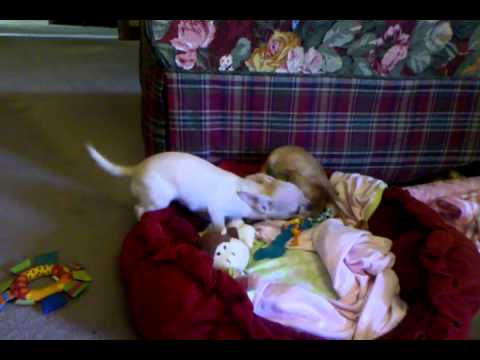 Hope and Ruby playing - YouTube