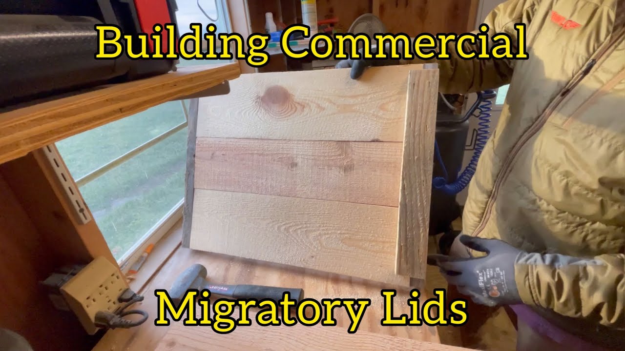 Building Migratory Lids for 10 frame Langstroth Bee Hives - YouTube