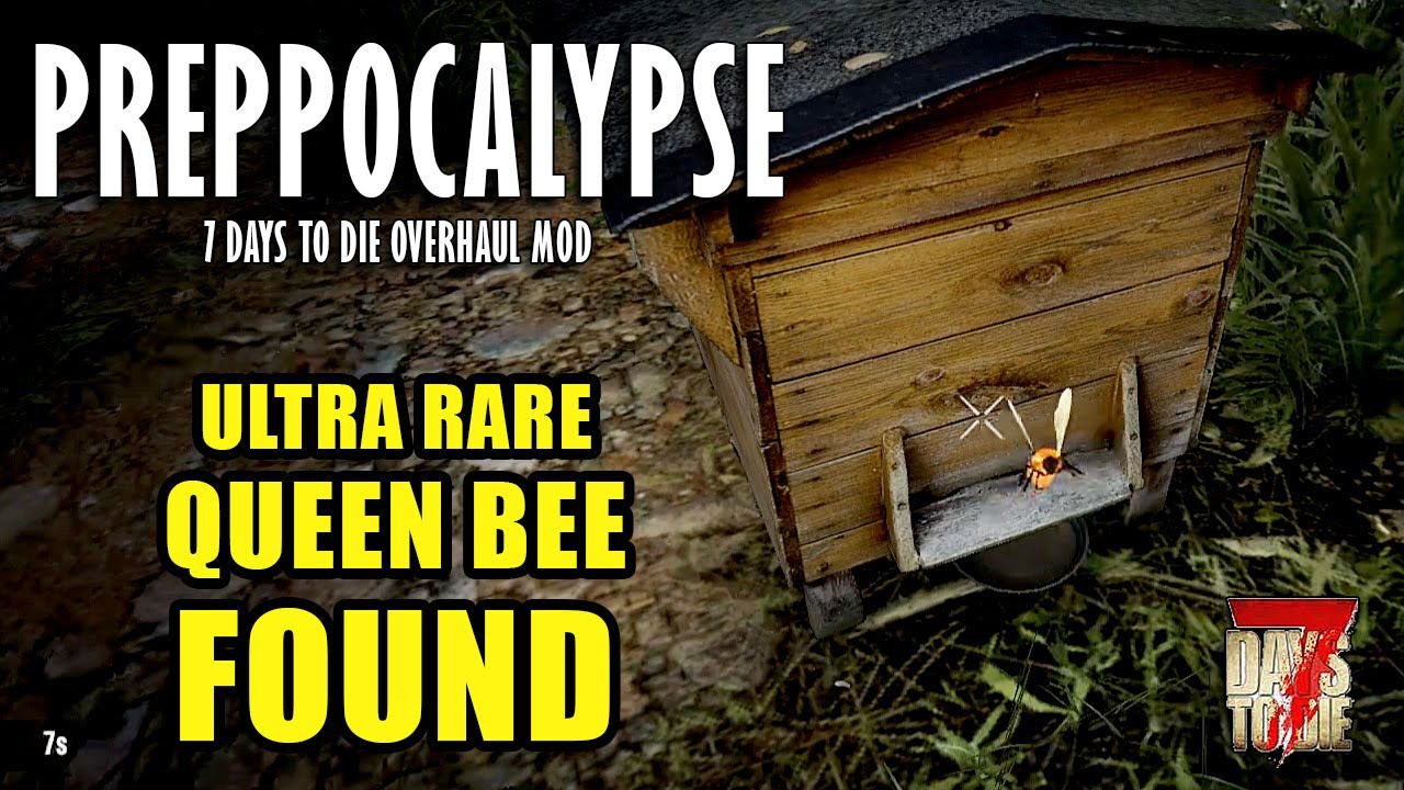Ultra Rare Queen Bee Found! | Preppocalypse Overhaul Mod | 7 Days To ...