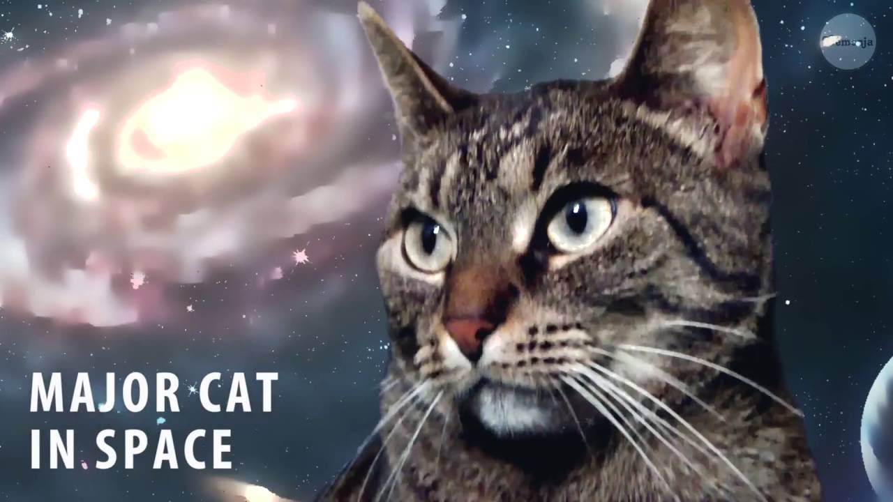 Major Cat in Space - Episode 1 - YouTube