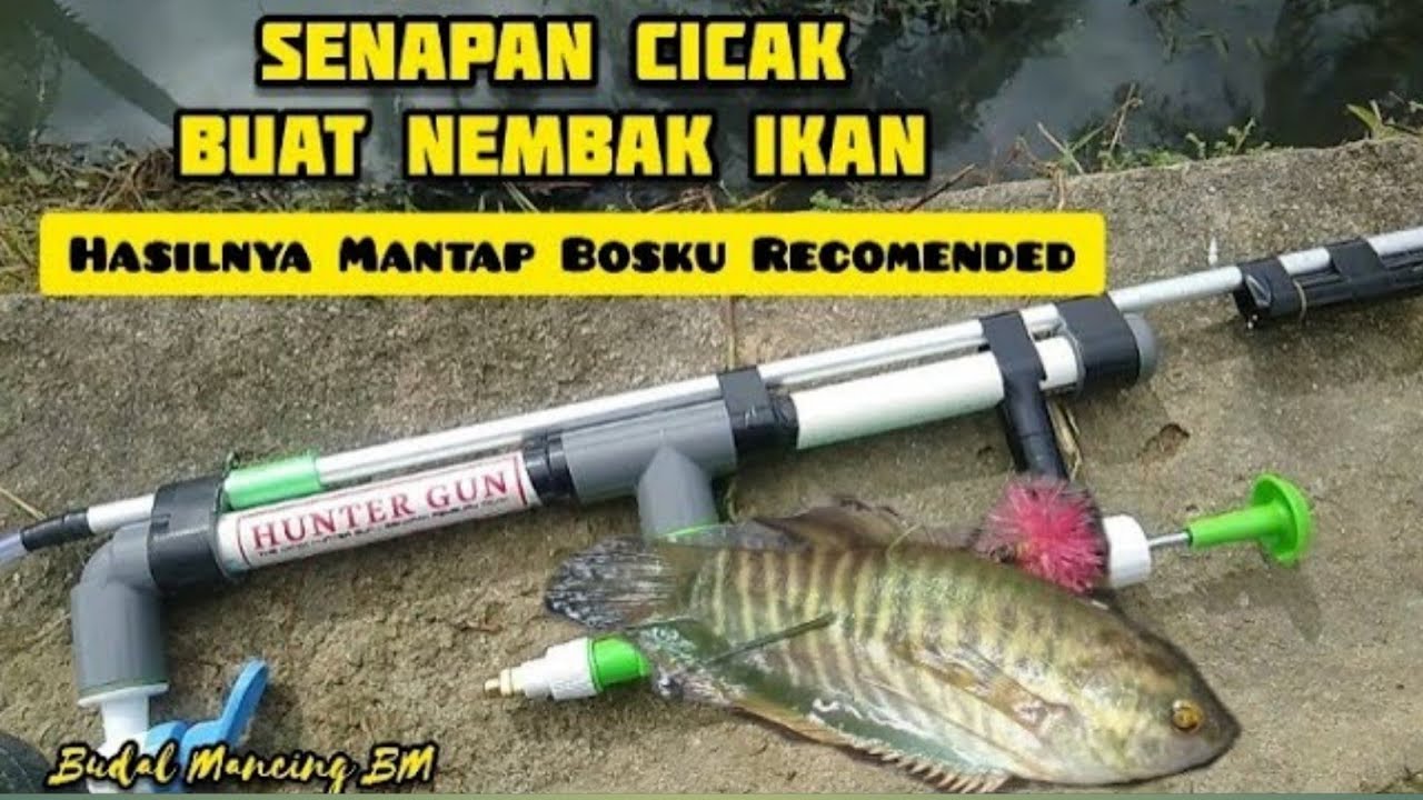 SENAPAN CICAK TERNYATA BISA BUAT CARI IKAN - YouTube