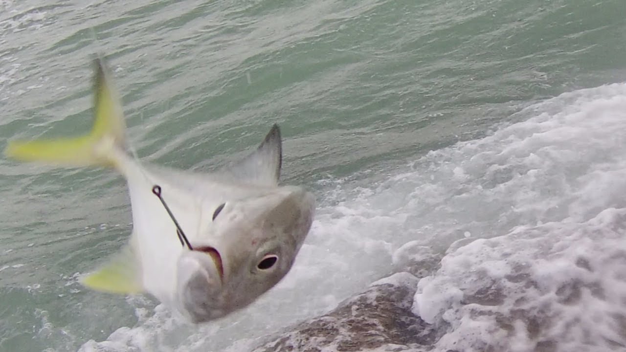 Too Many Fish, Lost Count. . . (Rough & Wavy Saltwater Fishing in ...