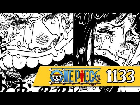 *I'M NOT CRYING, YOU'RE- NEVER MIND, I'M CRYING!* One Piece Chapter ...