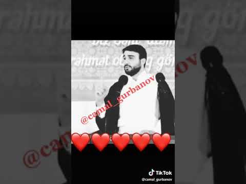 Şahın qartalı 2019 ci il ........................................