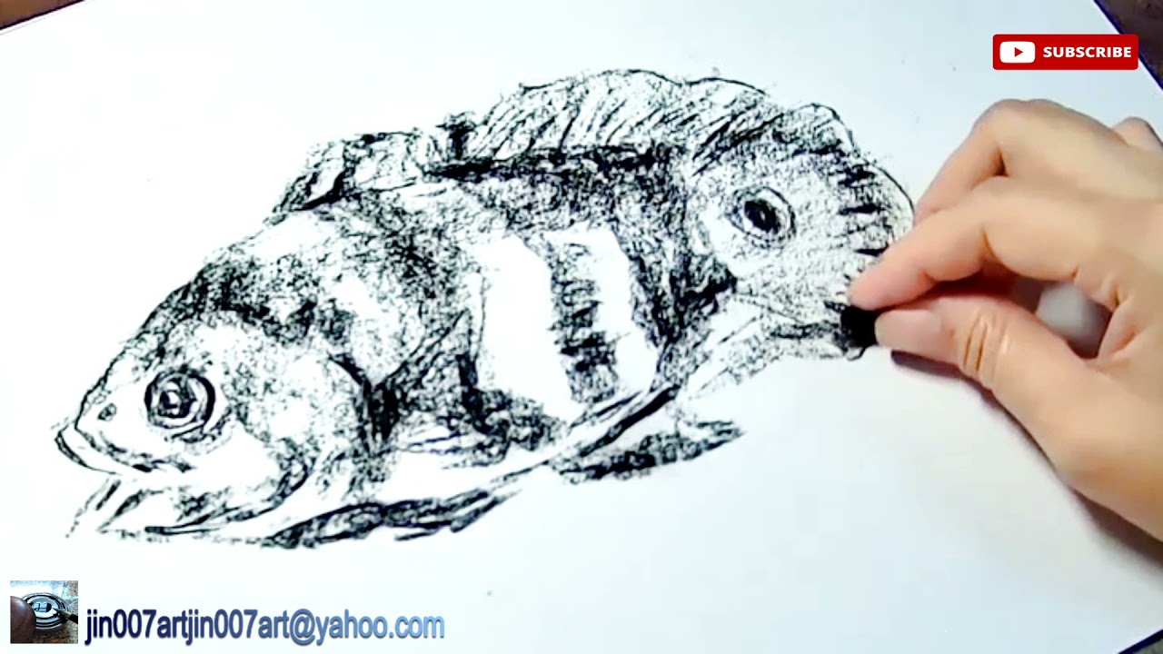 How To Draw A Fish in Charcoal 画鱼 碳笔素描 EP054 - YouTube