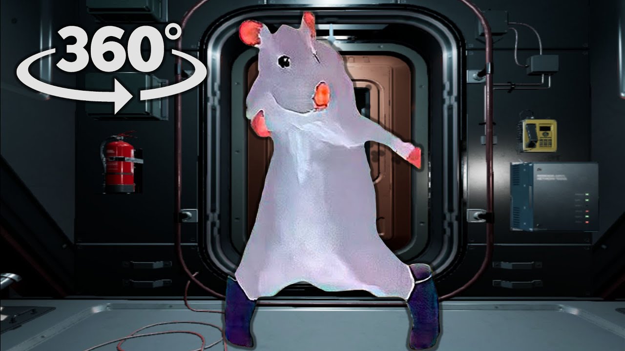 Rat Dance - In the Space Station | 360° VR 8K | ( Rat Dance meme ...