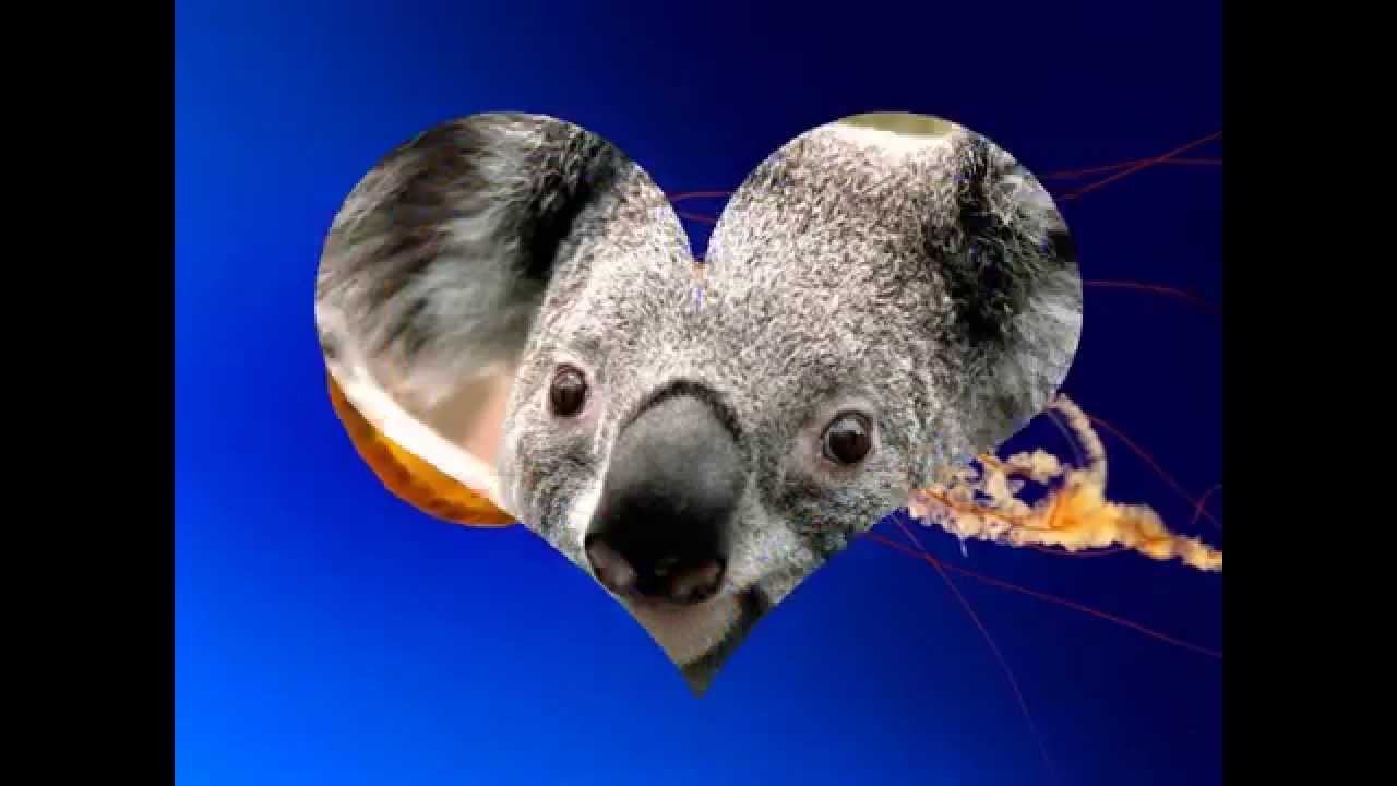 bbbbbbbbbbb - YouTube