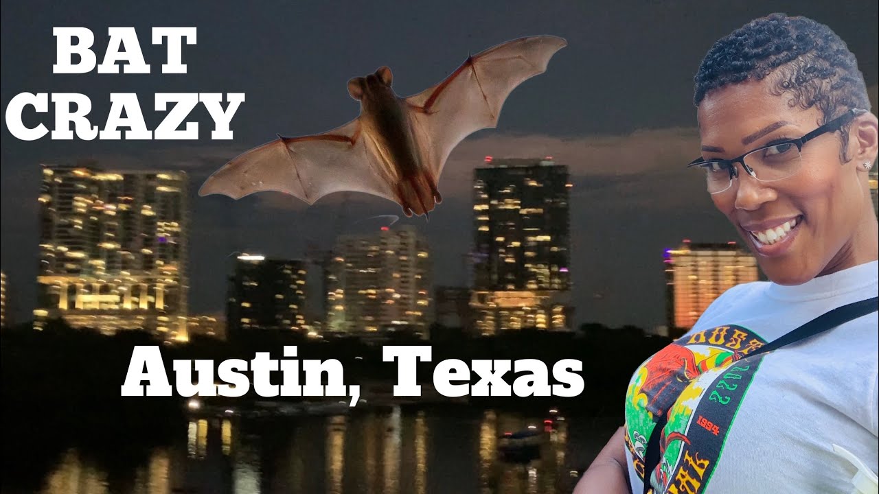 BAT CRAZY|THE BAT BRIDGE OF AUSTIN - YouTube