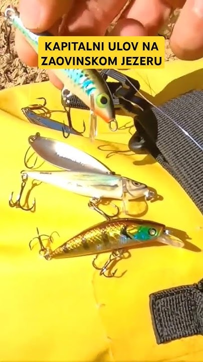 Kapitalni ulov na Zaovinskom jezeru za praznike #shorts #zaovinskojezero - YouTube