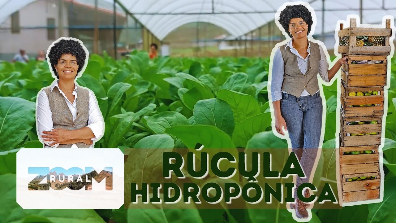 Zoom Rural - Rúcula - Conheça mais sobre o cultivo da rúcula ...
