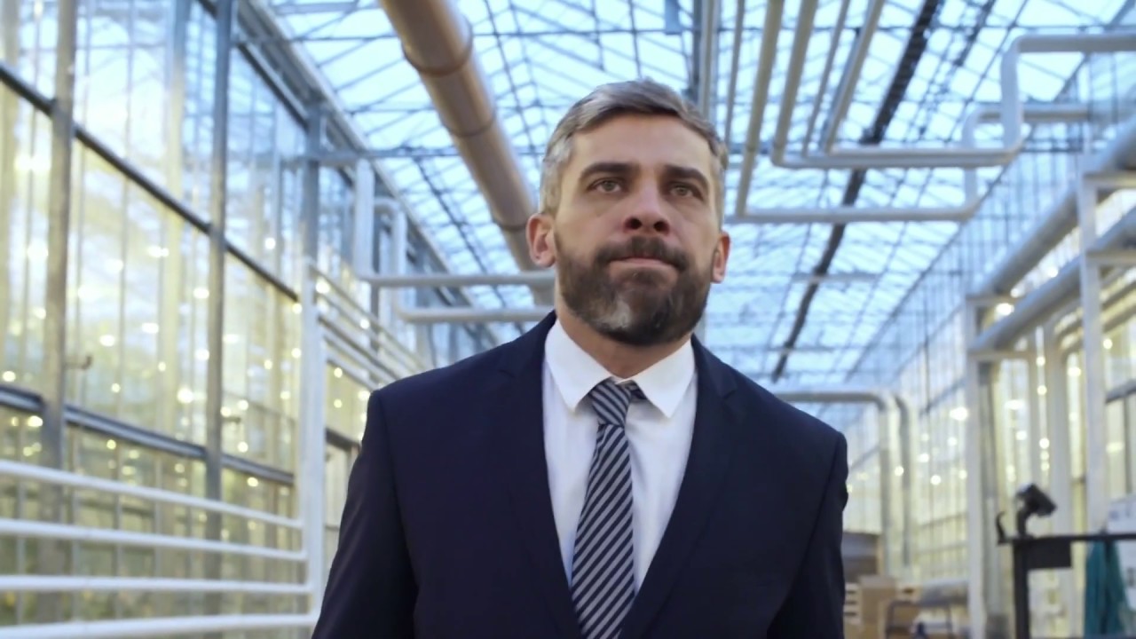 Mentoor Lifestyle, os 12 passos para o Sucesso - YouTube