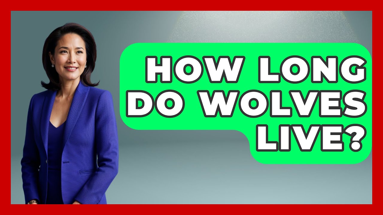 How Long Do Wolves Live? - The Wild Life Explorer - YouTube