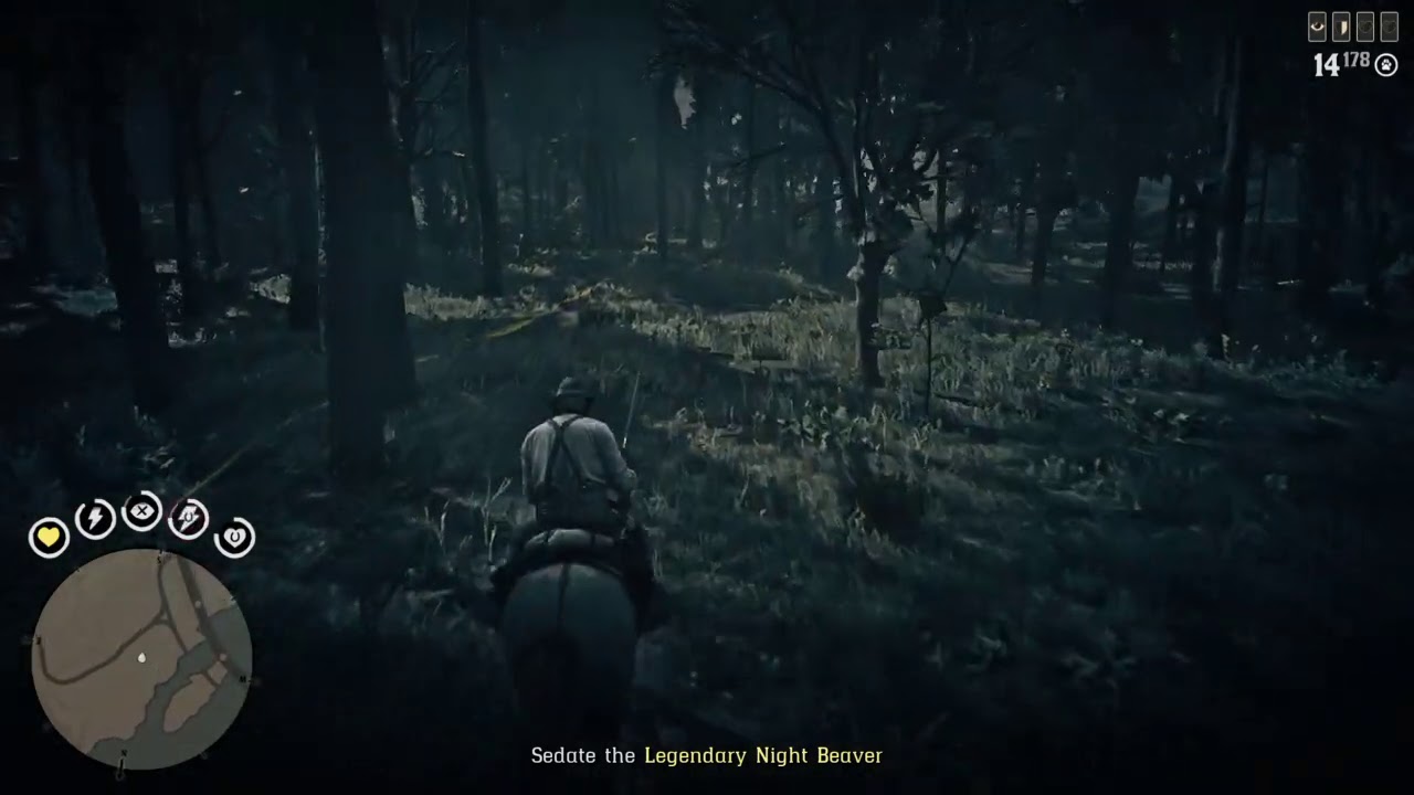 Red Dead Redemption 2 Legendary Night Beaver - YouTube